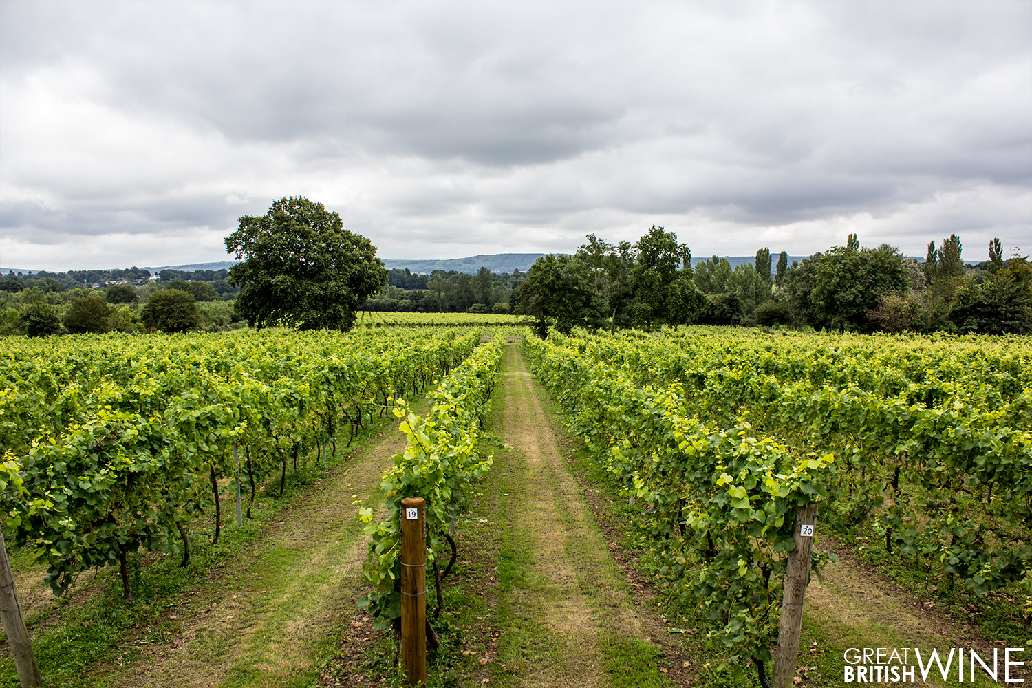 nutbourne_vineyard – Great British Wine