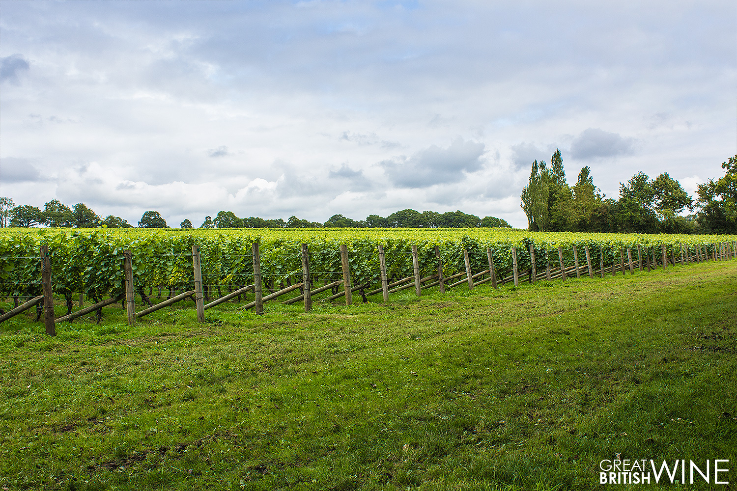 Nyetimber – Great British Wine
