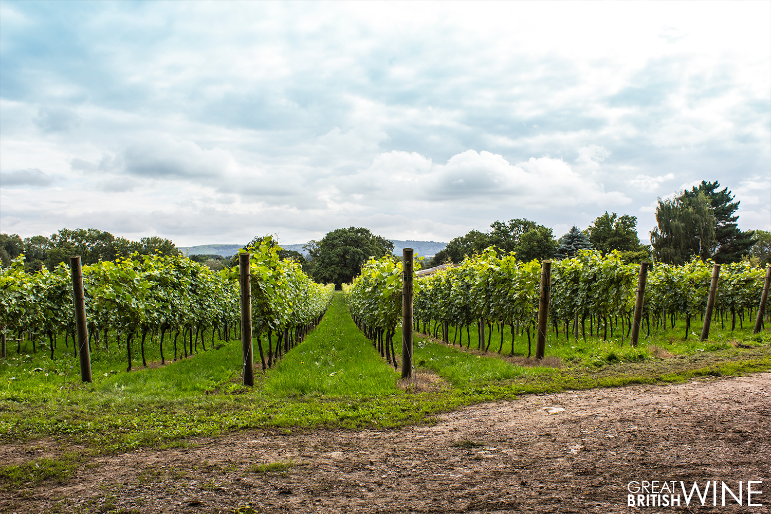 Nyetimber – Great British Wine