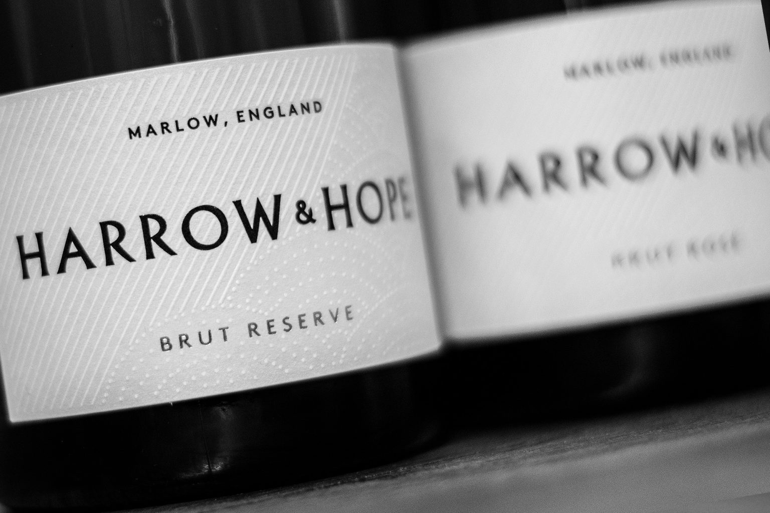 Vineyard & Winery Tour: Harrow & Hope | Great British Wine