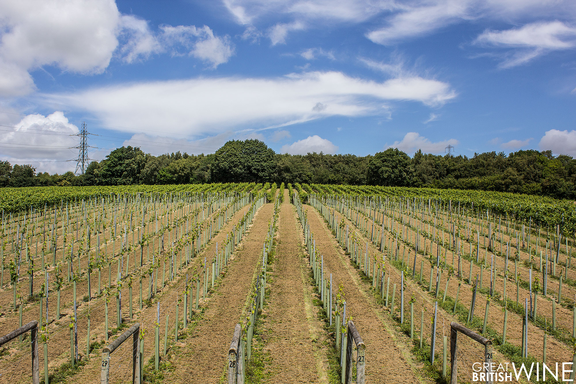 The Bolney Estate – Great British Wine