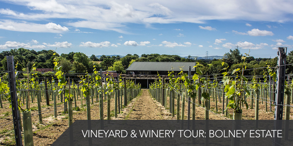 Featured_Bolney – Great British Wine