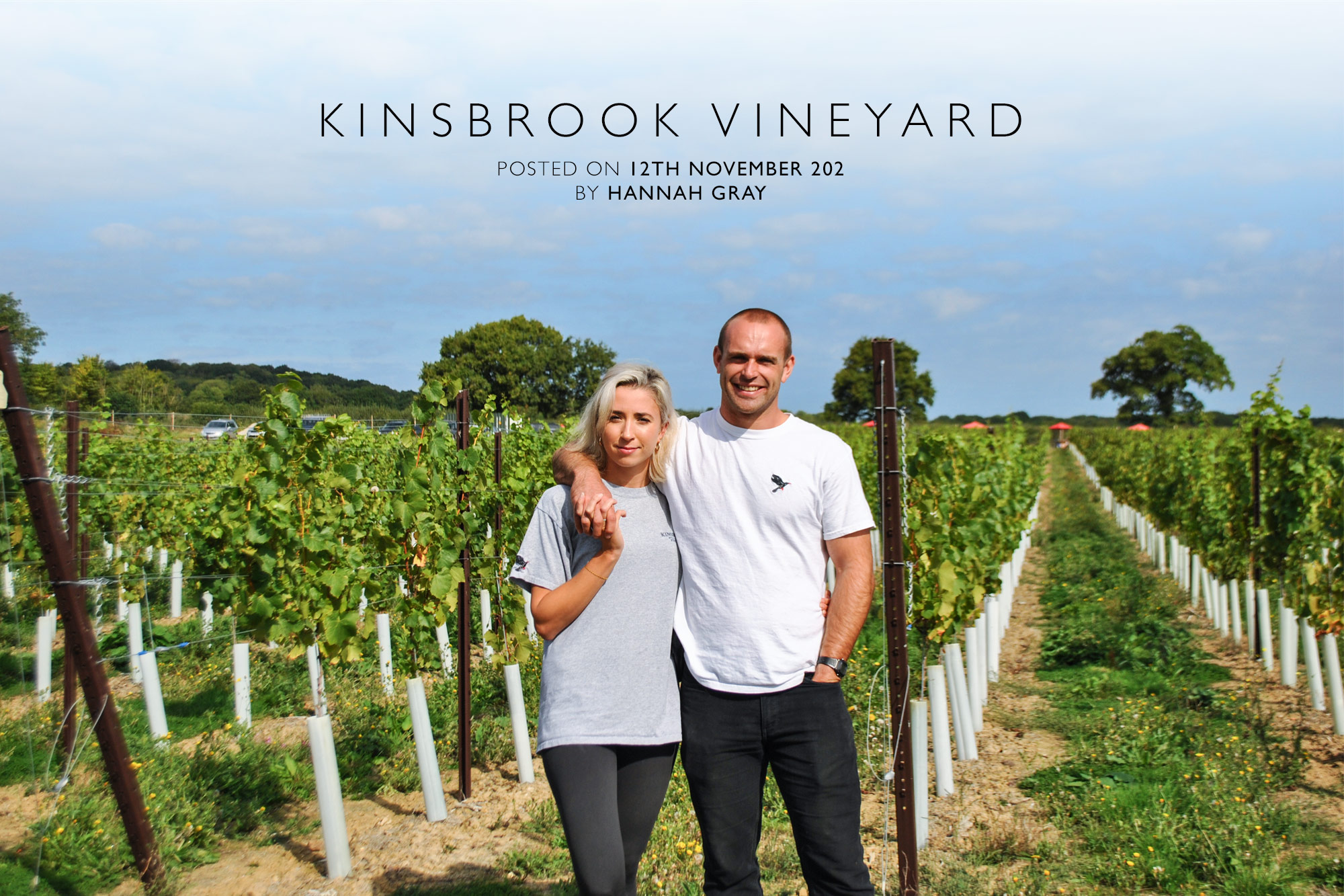 BannerHD2_Kinsbrook - Great British Wine