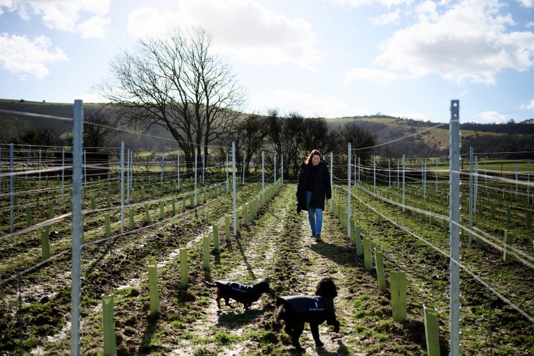 Everflyht takes Flight for English Wine Week – Great British Wine