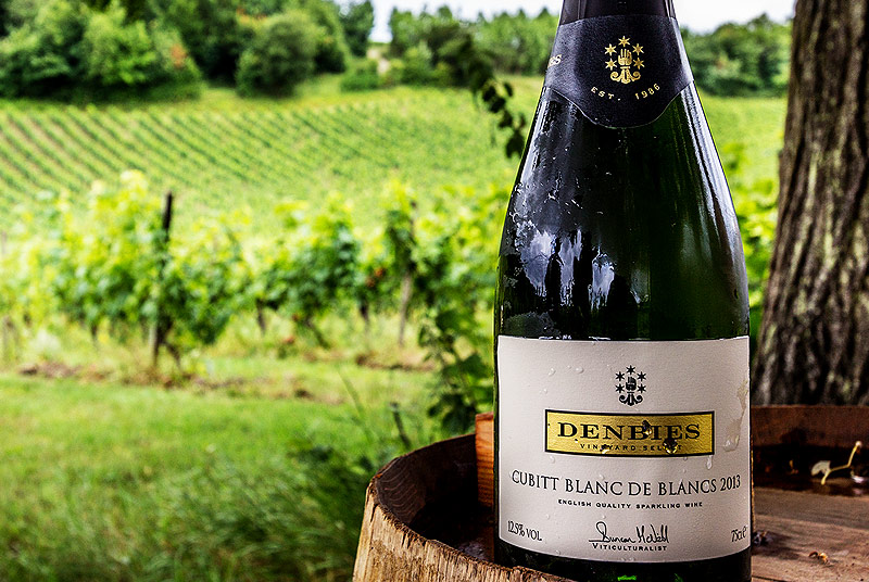 A Secret Vineyard Trail at Denbies Wine Estate | Great British Wine