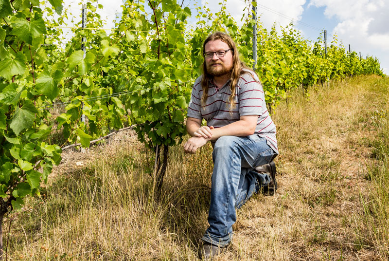 Double Hedges – Great British Wine