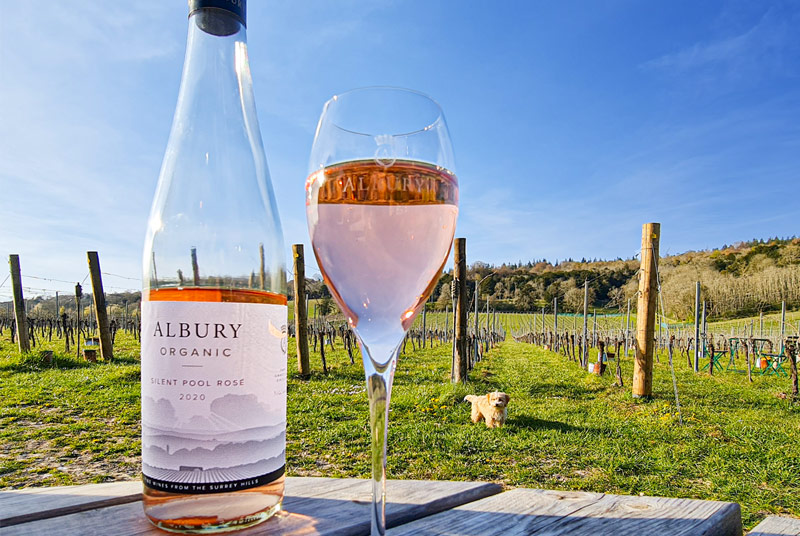 Wine Launch – Great British Wine