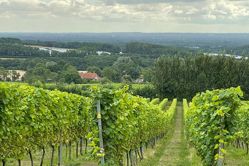 Mereworth – Great British Wine