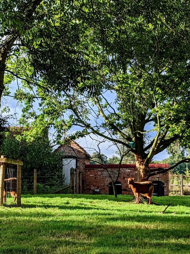 Tillingham – Great British Wine