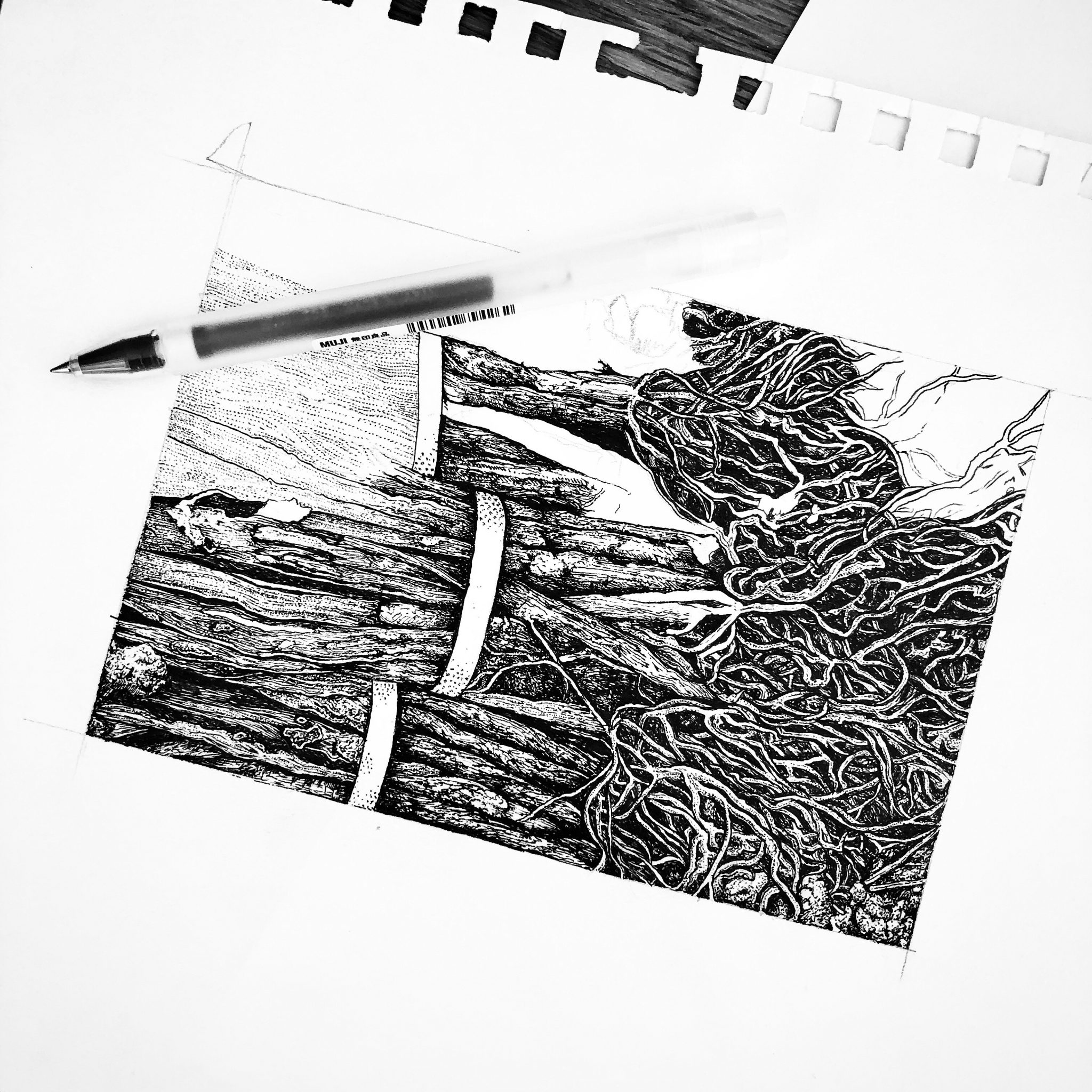 Westwell Wines – Great British Wine