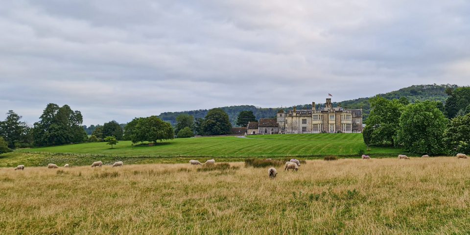 The Next Chapter of Wiston Estate – Great British Wine